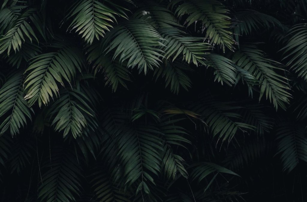 Css Text With Background Animation Red Stapler